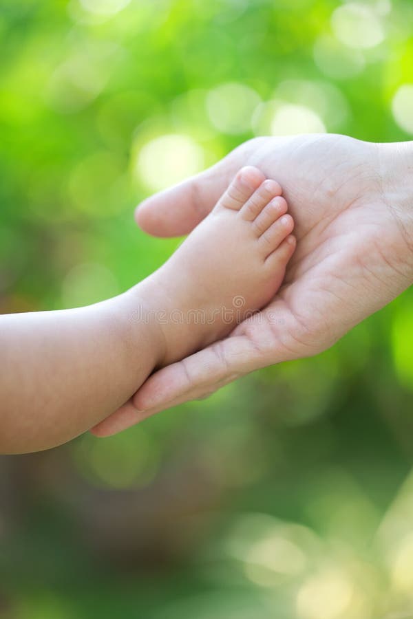 Baby foot is hold stock photo. Image of care, maternity - 23019664