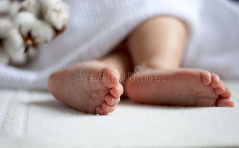 Baby foot stock image. Image of fingers, cotton, foot - 59436495