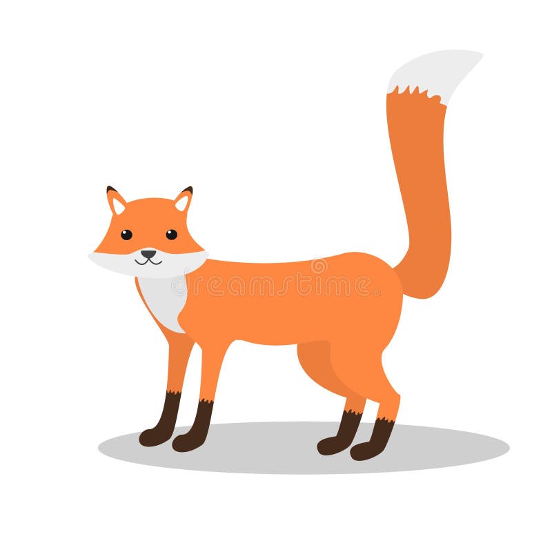 Baby Fox with Tail Up Vector Illustration Stock Vector - Illustration ...