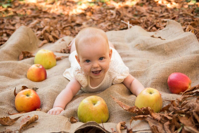 Baby girl with apples stock image. Image of garden, health - 77196931