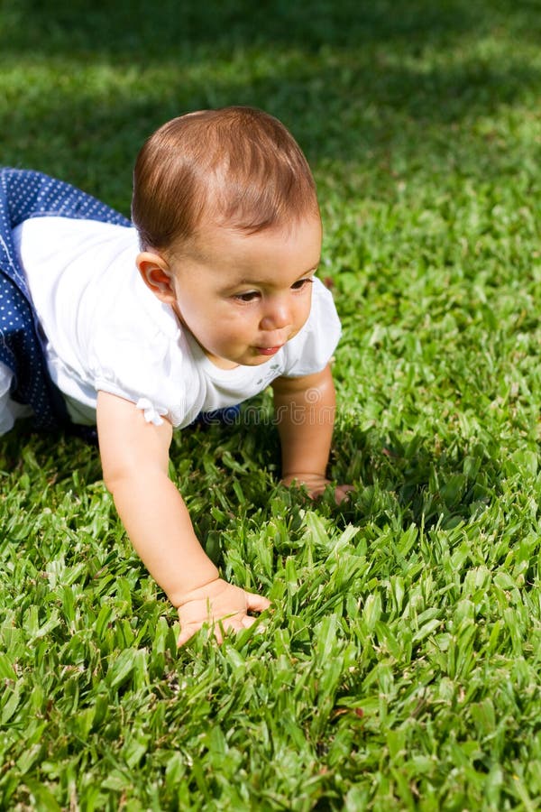 Crawling baby girl stock image. Image of diaper, childhood - 29728269