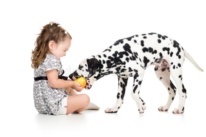 Baby girl feeding dog stock photo. Image of background - 32307062
