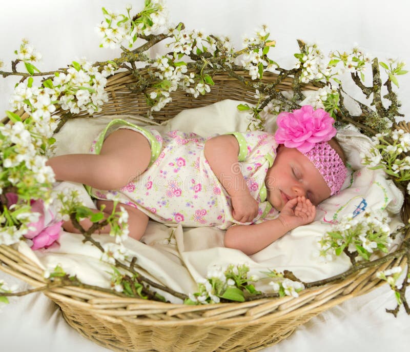 Baby Girl Inside of Basket with Spring Flowers. Stock Photo - Image of ...