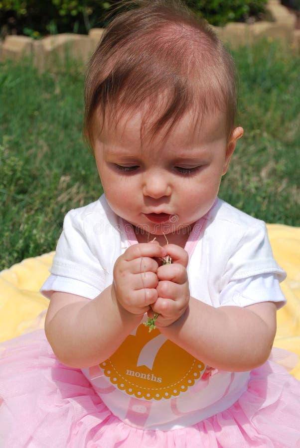 Baby girl stock photo. Image of hands, prayer, folded - 79496142