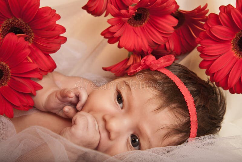 Baby Girl with Red Flowers stock image. Image of baby - 19039583