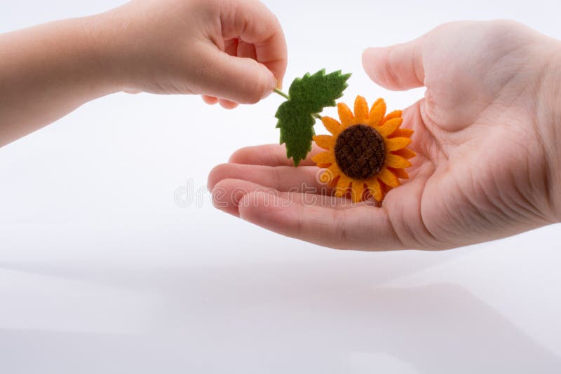 Baby Giving a Fake Flower on White Background Stock Image - Image of ...
