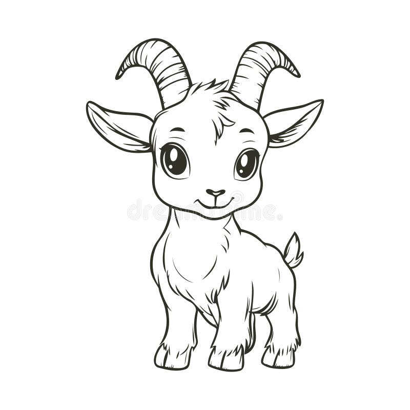 Baby Goat Vector Line Drawing. Stock Vector - Illustration of animal ...