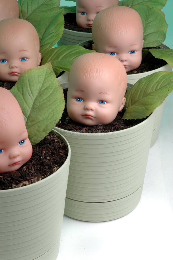 Baby Growing 3 stock photo. Image of manufacturing, daycare - 519220