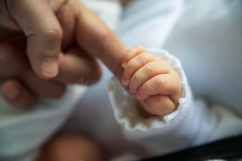 Baby hand stock image. Image of father, happy, child - 12857673