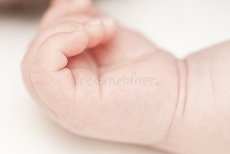 Clenched baby fist stock photo. Image of kiddie, hand - 13631324