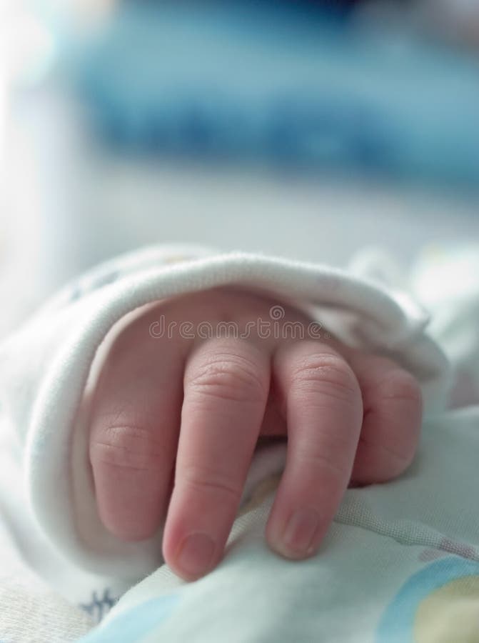 Baby Hand stock photo. Image of fragile, body, child, little - 208368