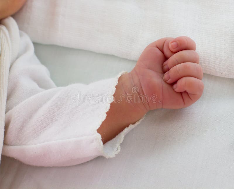 Baby hand stock image. Image of life, little, childcare - 24073955