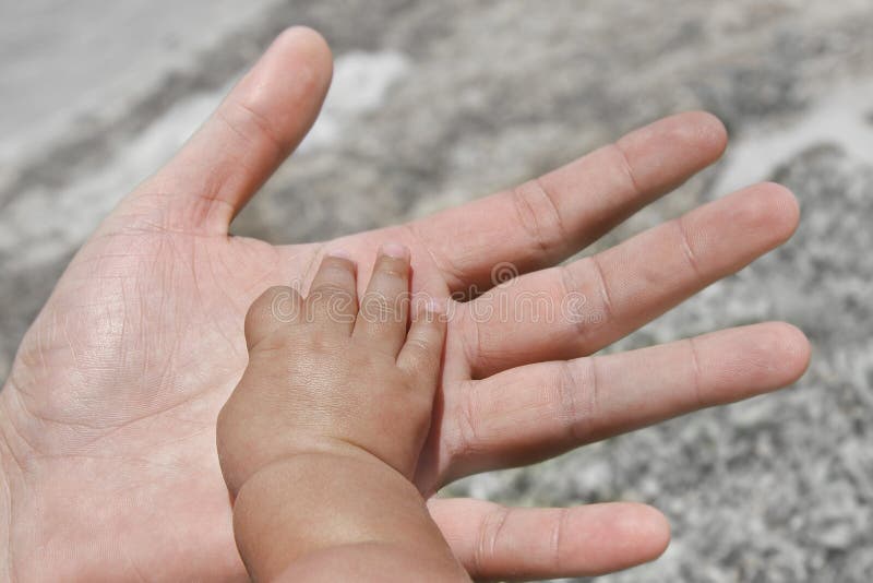 Baby hand stock photo. Image of palm, small, love, generation - 4801898