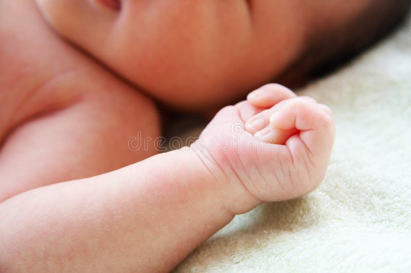 Baby hand stock image. Image of considerate, hand, babysitter - 4892439
