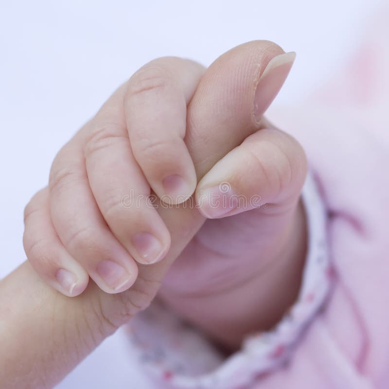 Baby s hand stock image. Image of newborn, child, love - 1558647