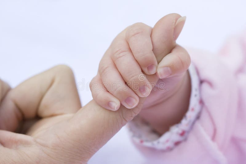Baby Hand stock image. Image of hand, baby, tenderness - 6612895