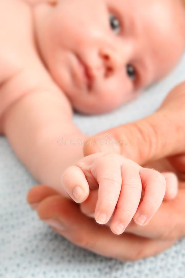 Baby Hand stock image. Image of infant, holding, fingers - 8007385