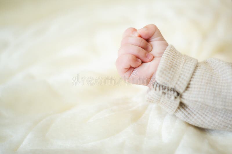 Baby hand and arm stock photo. Image of cute, family - 65227208