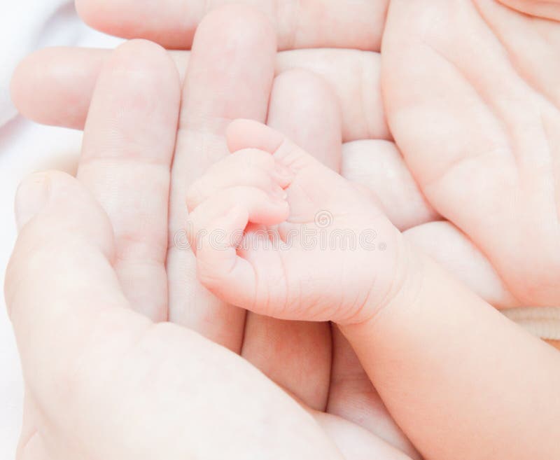 Baby hand stock photo. Image of finger, adult, born, baby - 63019404