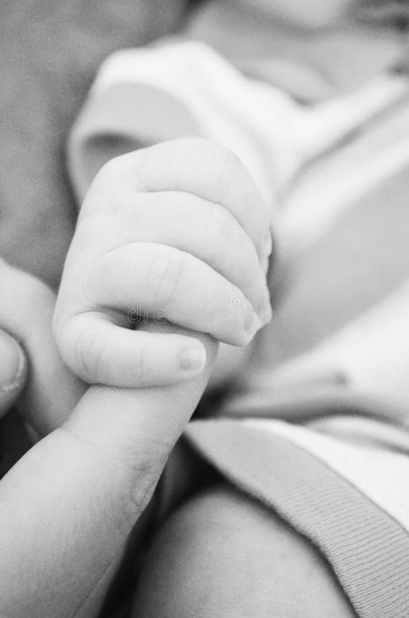 Baby grabbing hand. stock photo. Image of hand, child - 4869738