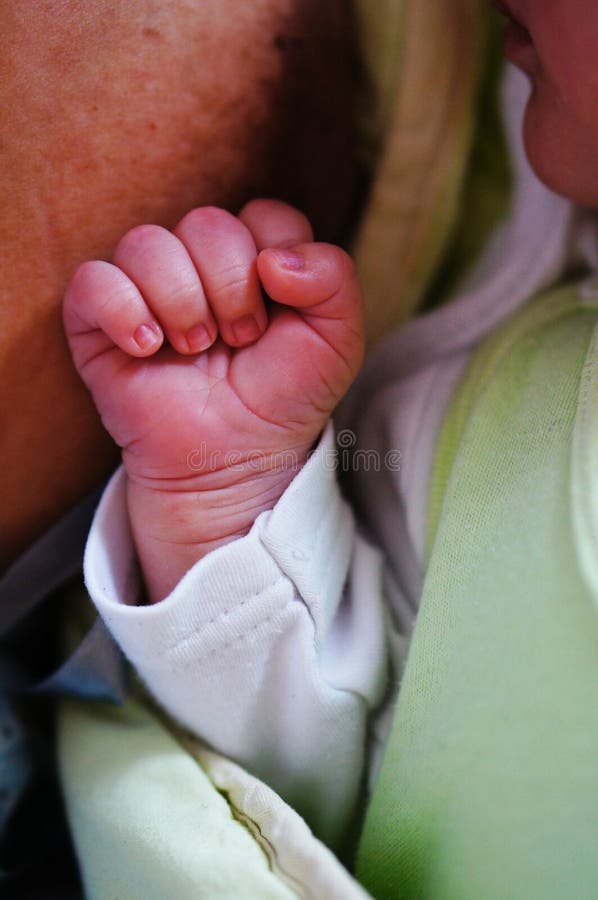 Baby hand stock photo. Image of joint, infant, hand, sleep - 39007550