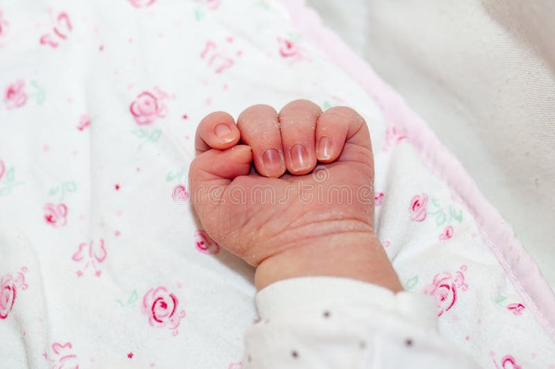 Baby hand stock photo. Image of security, hand, sweet - 41755338