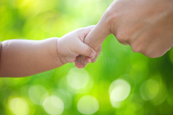 Baby hand is hold stock photo. Image of hand, caress - 23019754