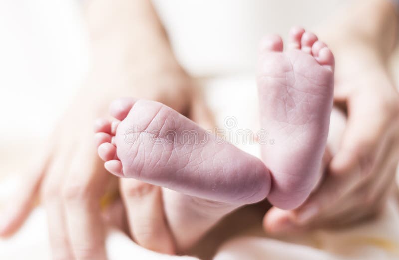 Baby hand stock image. Image of children, baby, newborn - 122716795