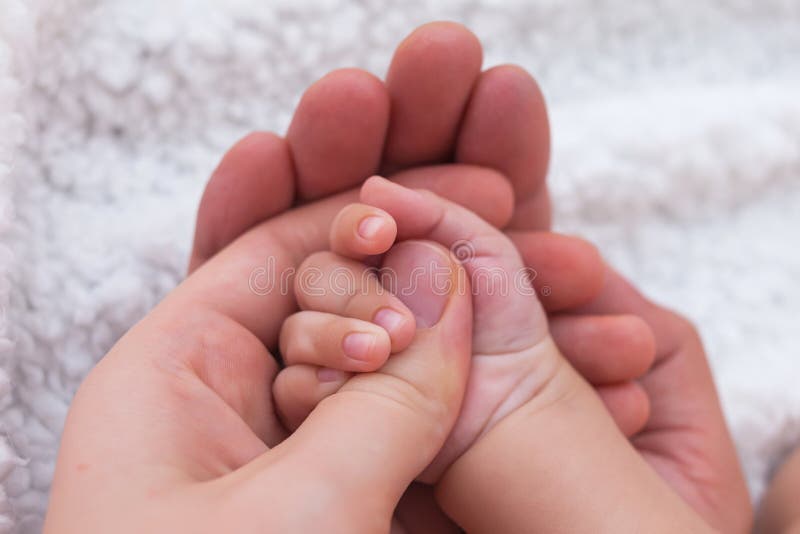 18,468 Baby Hand Mother Father Stock Photos - Free & Royalty-Free Stock ...