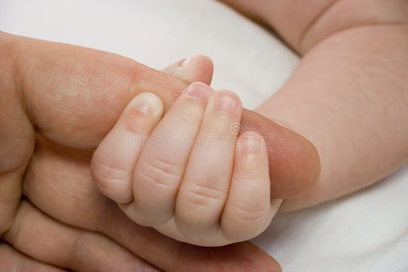 Baby hand and parent arm stock photo. Image of parts, nail - 215072