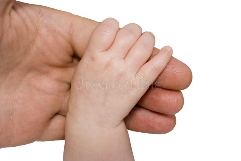 Baby hand and parent arm stock photo. Image of parts, nail - 215072
