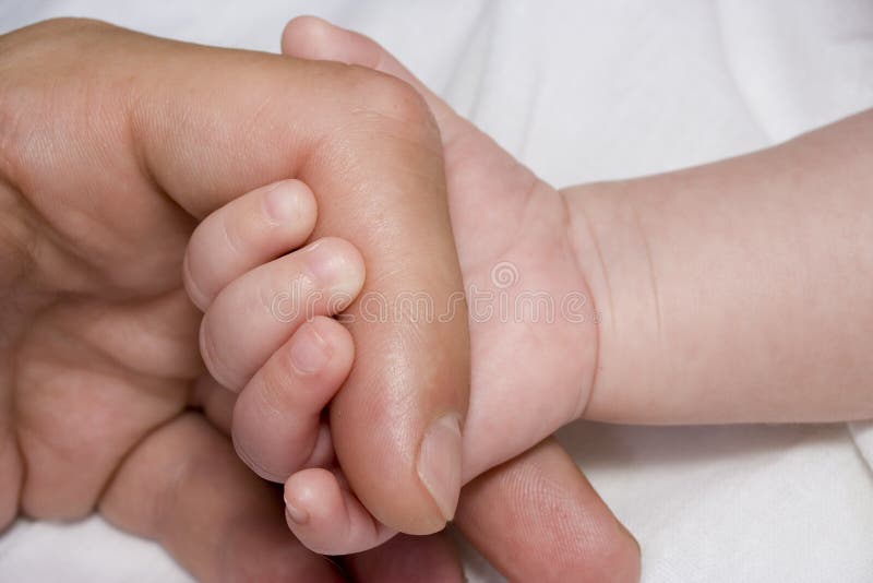 Baby hand and parent arm stock photo. Image of parts, childish - 215066