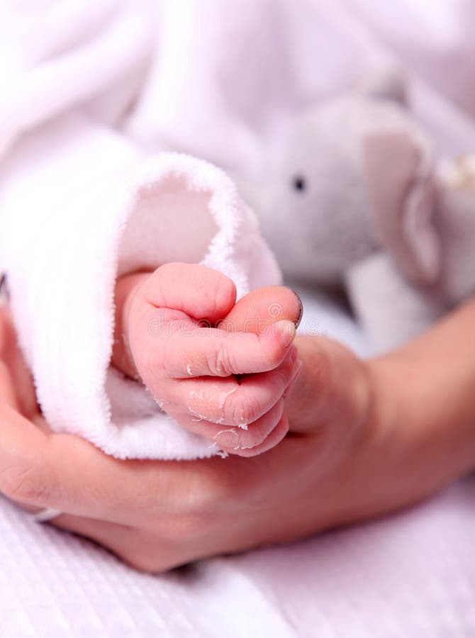 Baby hands stock photo. Image of love, beautiful, hand - 11374718