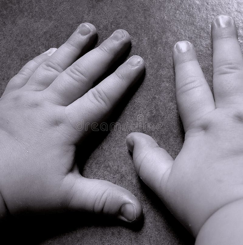 Baby hands stock photo. Image of hands, child, skin, pavement - 3550224