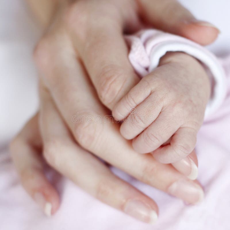 Baby hands stock photo. Image of parent, baby, parenthood - 4971746