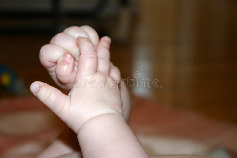 Baby hands stock image. Image of fingers, clasp, crease - 761911