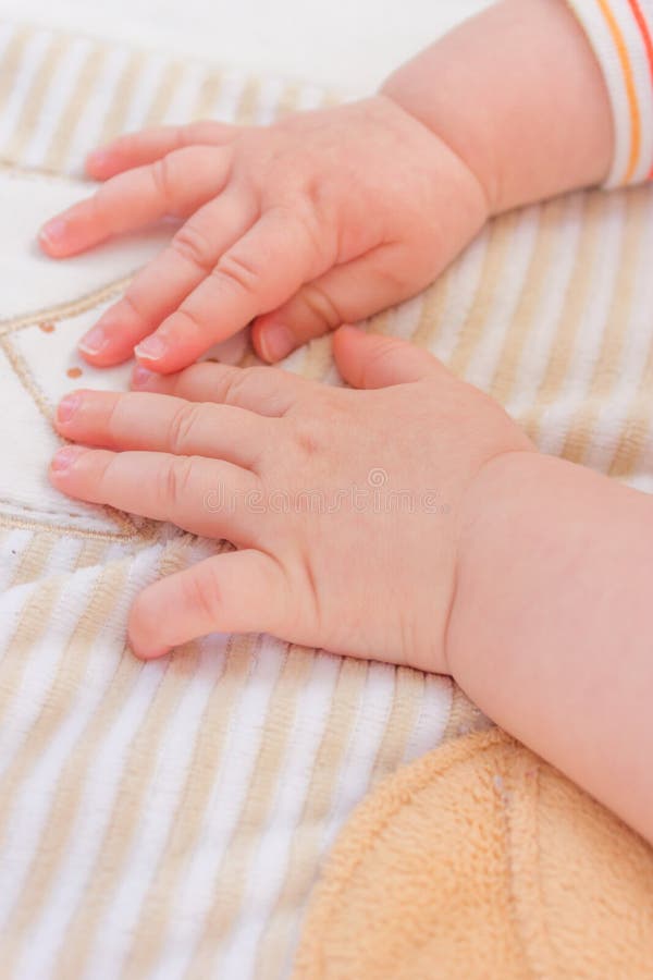 Baby hands stock photo. Image of little, love, human - 56013844