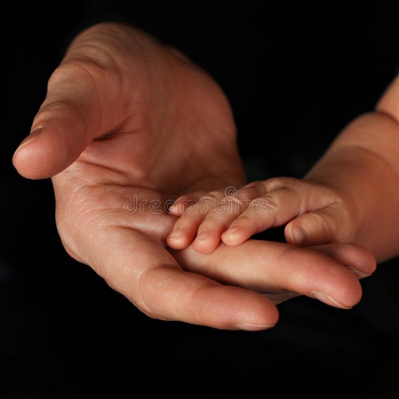 Baby hand 3 stock image. Image of father, toddler, baby - 273083