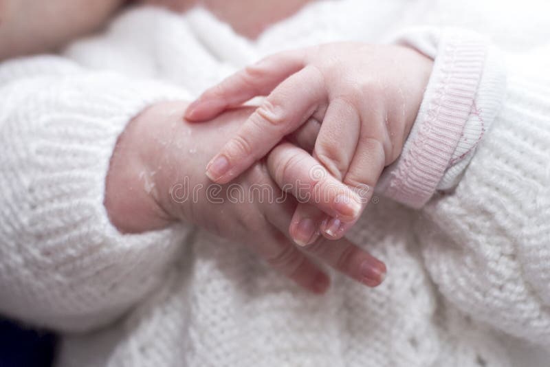 Baby hands stock photo. Image of tender, protection, family - 34823126
