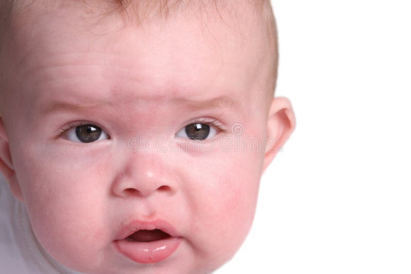 Baby head stock image. Image of children, babes, babies - 20230525