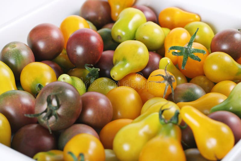 Baby Heirloom Tomatoes from the Garden Stock Photo - Image of fresh ...