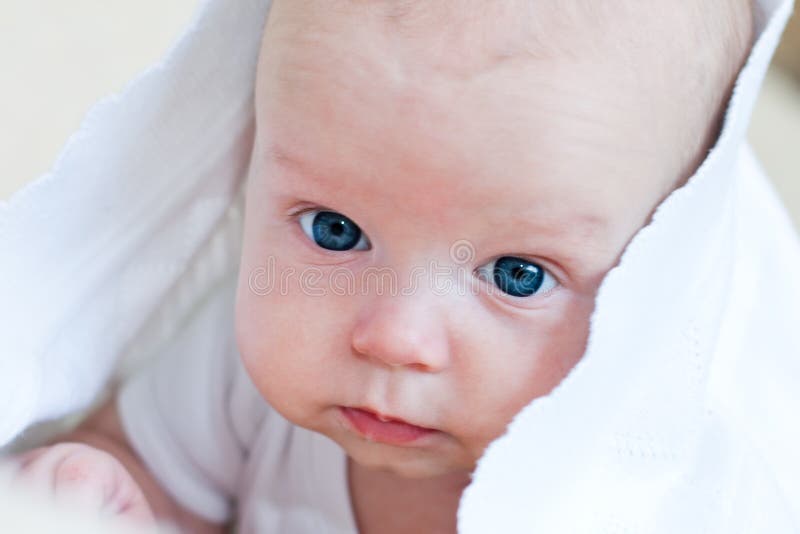 Baby is Hiding Under the White Blanket Stock Photo - Image of months ...