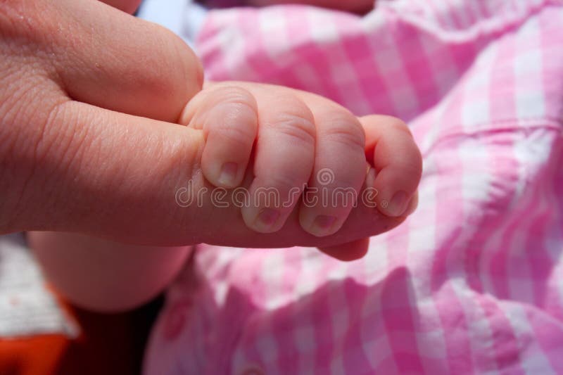 Baby Holding Finger stock image. Image of finger, caring - 4081493