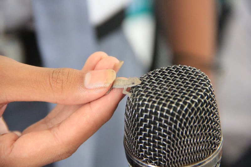 Lizardmic Stock Photos - Free & Royalty-Free Stock Photos from Dreamstime