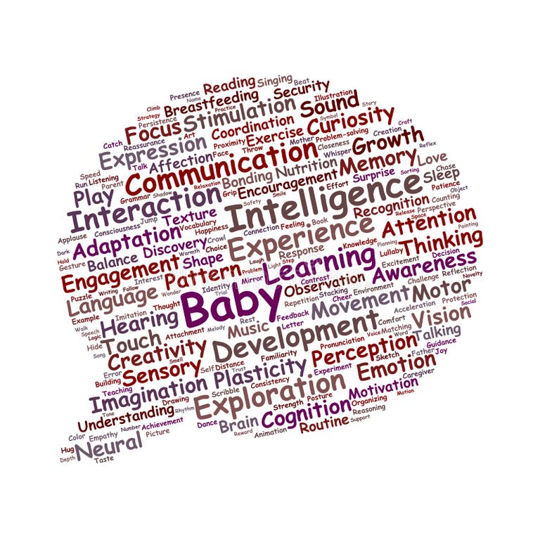 Infant Brain Development Stock Illustrations – 313 Infant Brain ...