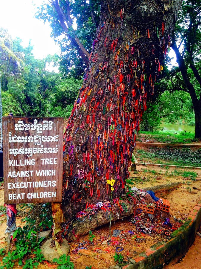 Baby killing tree Cambodia stock image. Image of leaf - 209329047