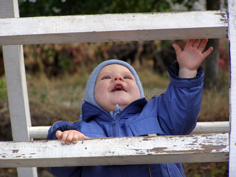 Baby on a ladder stock image. Image of climb, infant, blue - 1609593
