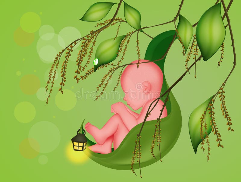 Baby in the leaf on tree stock illustration. Illustration of tree ...