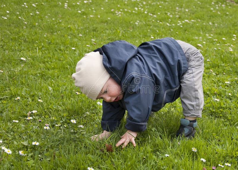 Baby learning to walk stock image. Image of little, nature - 13923831