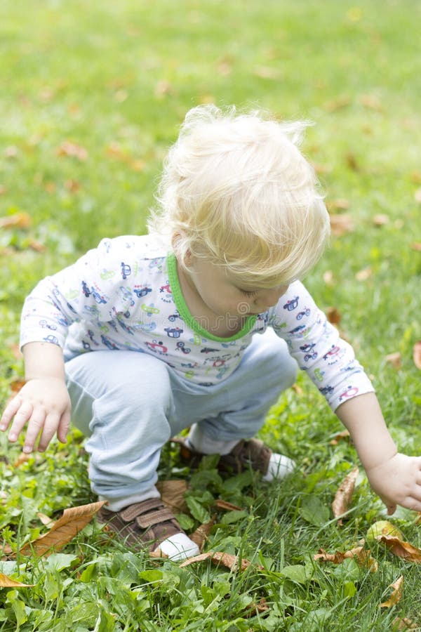 Baby Learns To Walk and Collecting Fallen Chestnuts Stock Photo - Image ...
